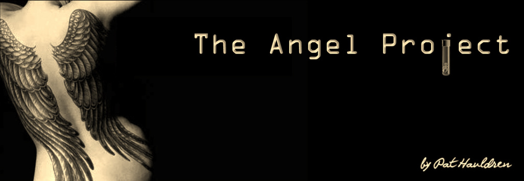 the angel project - Home